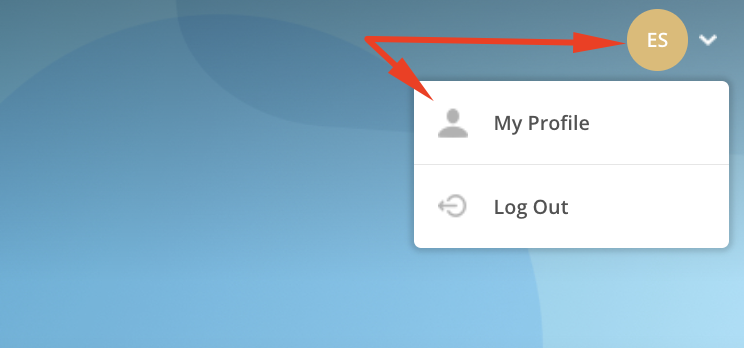 Changing my profile/login details